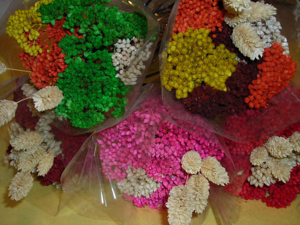 El Tigre en Pueyrredon: FLORES DISECADAS