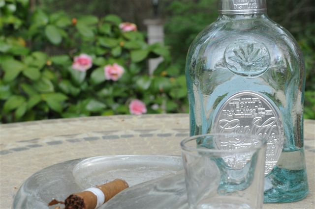 Creative Digital Photography &Photoshop