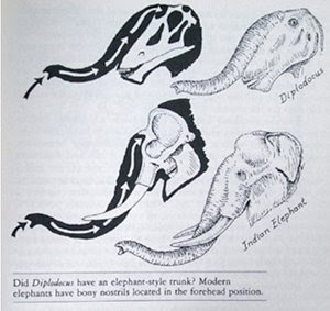 Visualizing Evolution