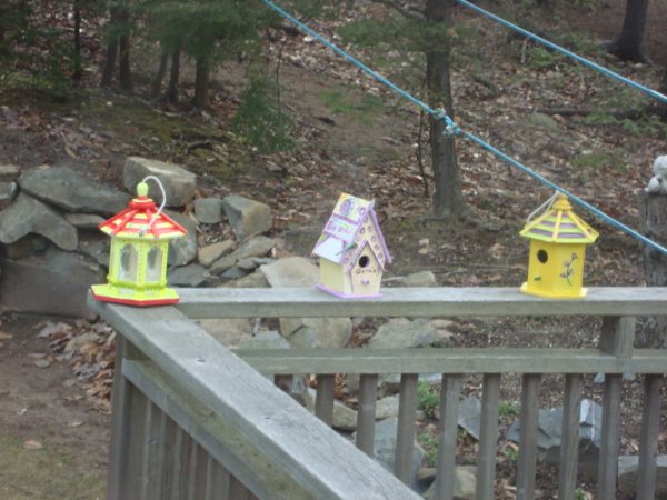 Jeanne's Bliss Blog: March 2010