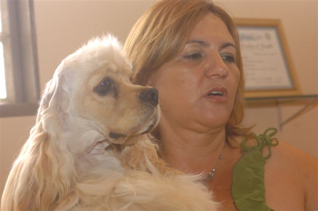 Hotel kennel BSB Cockers / Breeding America cocker Spaniel: HOTEL ...