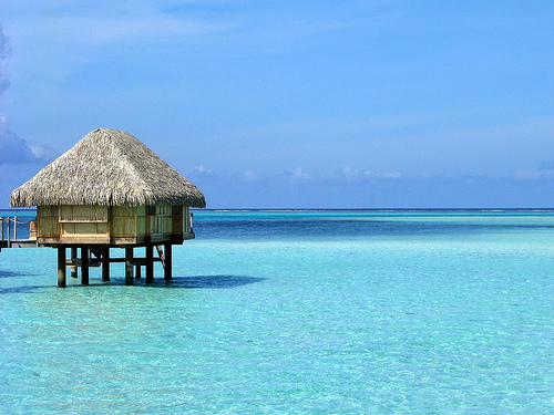 jessee's spot: TWENTY NINER!