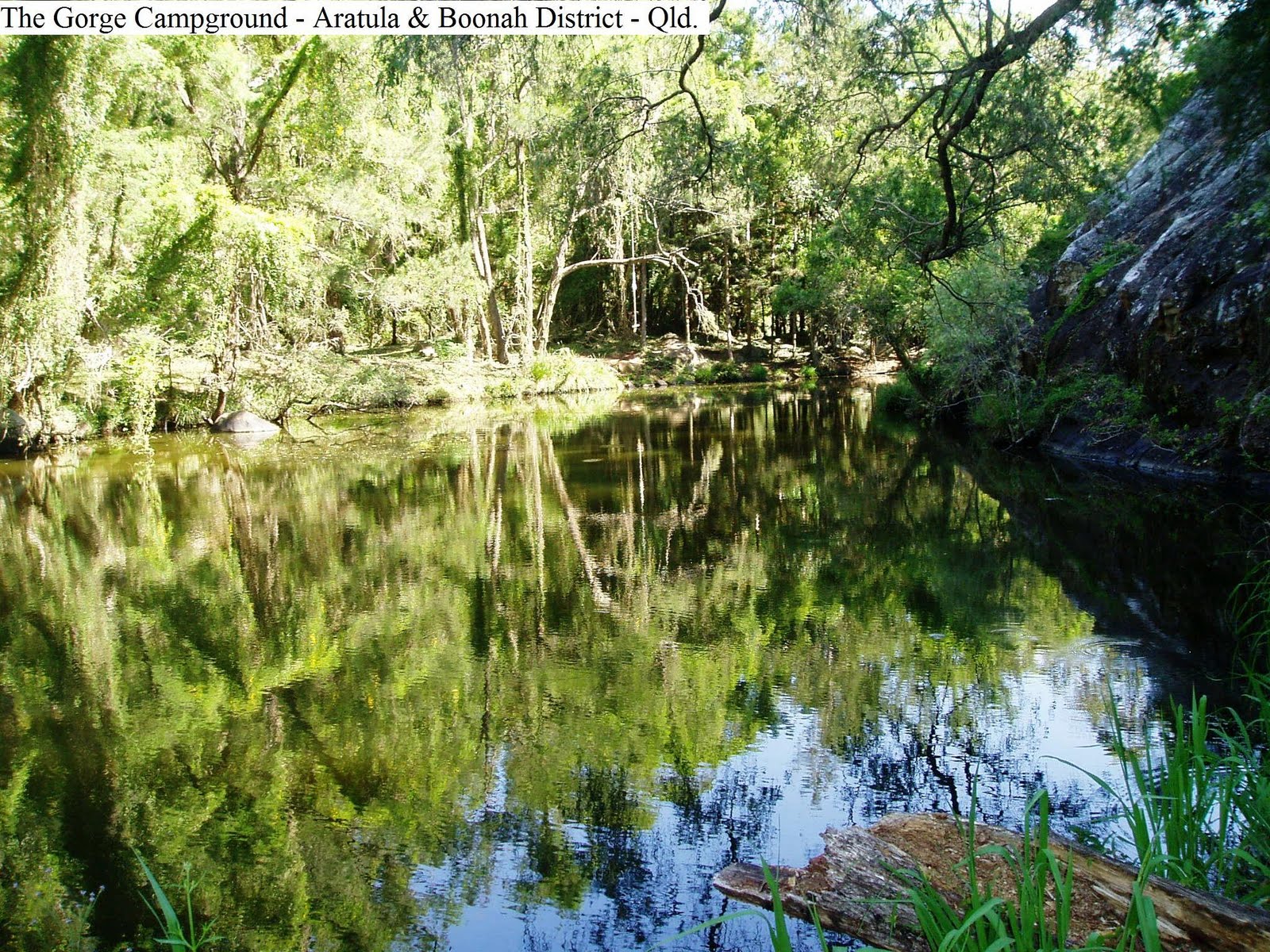 Nannapop Queensland Return to Main Site: 16th November 2008 - The Gorge ...