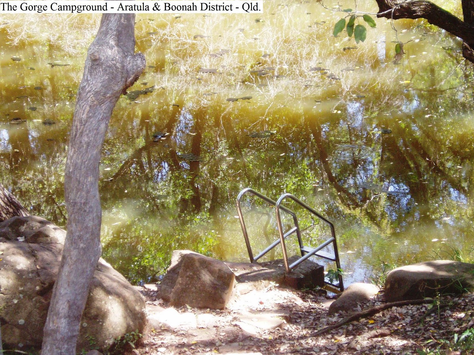 Nannapop Queensland Return to Main Site: 16th November 2008 - The Gorge ...