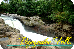 Anything: The Land of Beauty and Bounty