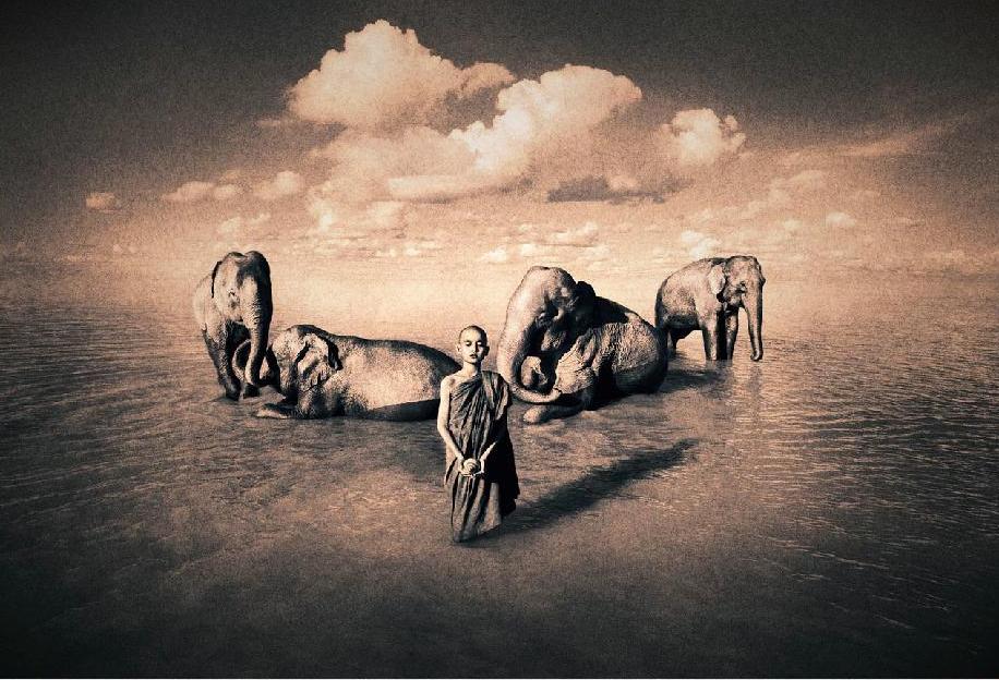 Mis galgas, yo y the ruby slippers: SORPRENDENTE GREGORY COLBERT