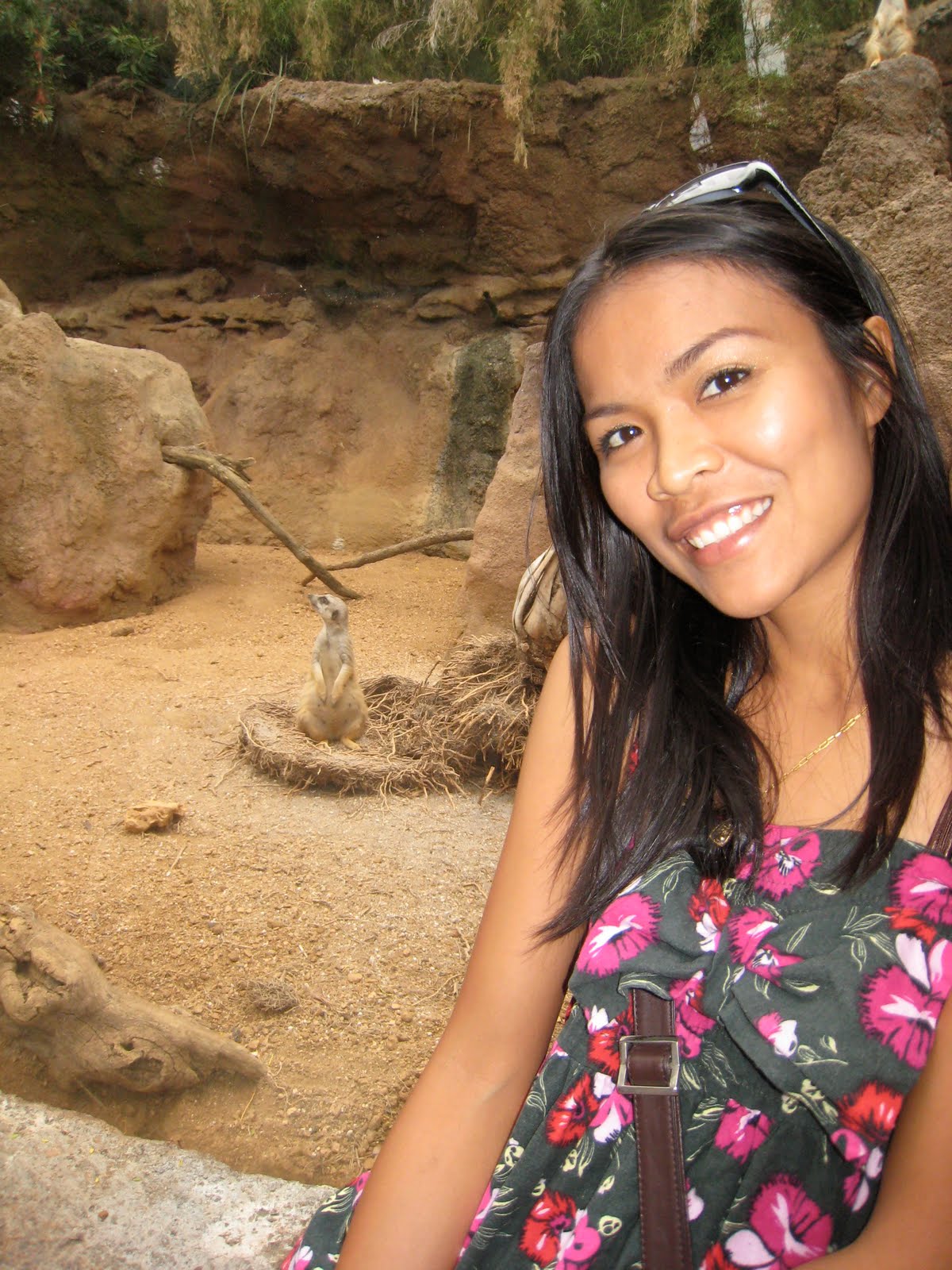 From Thailand to America: Nuch's Story: Nuch moves to Houston