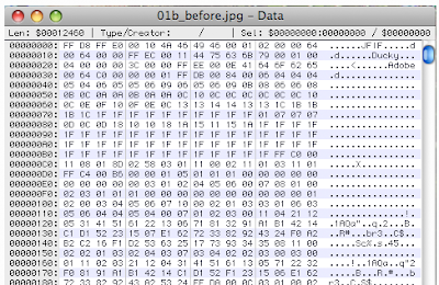 Forensic Multimedia Analysis Blog: Hex Dump