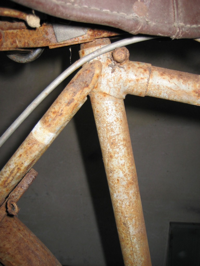 paramanubrio: emozioni