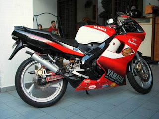 The Rose Tat Grew From Concrete: Project Yamaha tzm