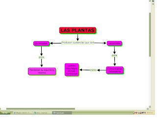 CARLOS - FELIPE: MAPA LAS PLANTAS