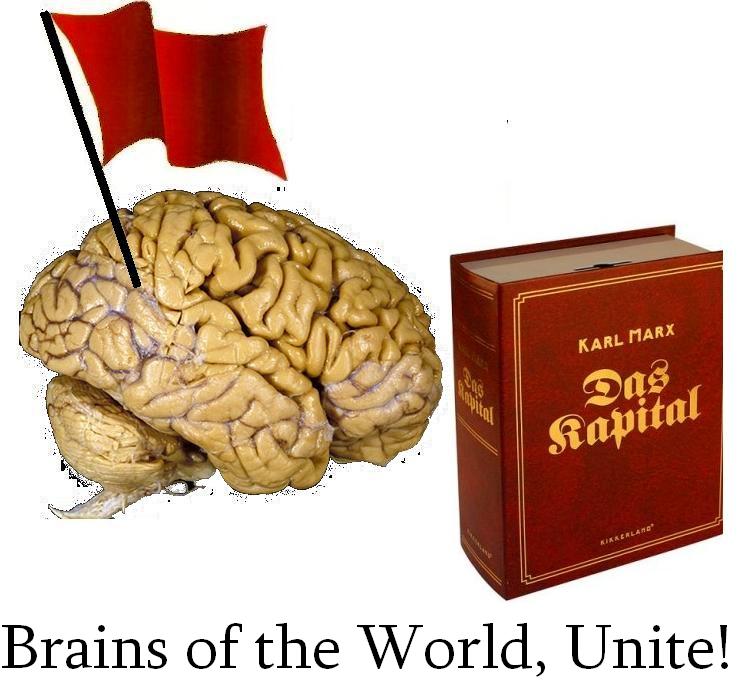 科学网—我们大脑姓“资”还是姓“社” - 焦宏远的博文