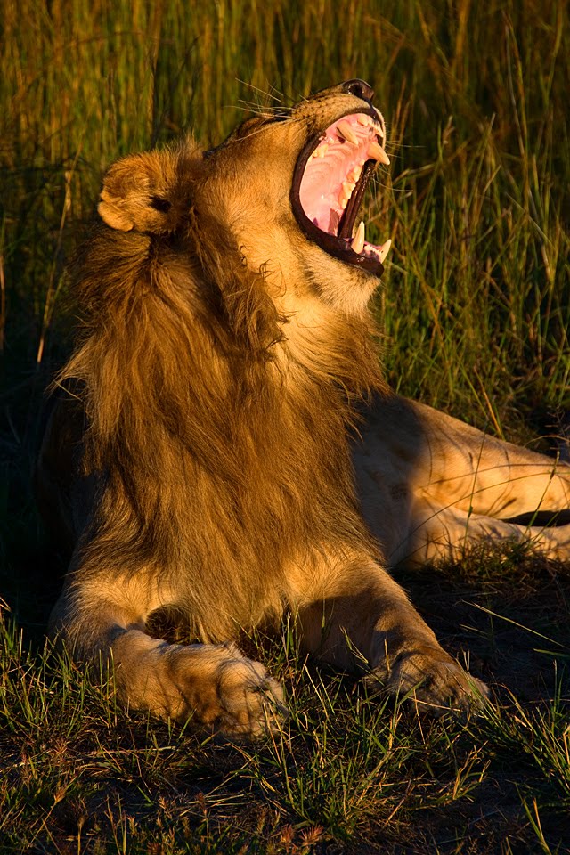 Wanderlust: A Global Odyssey by Matt Prater: Up Close and Personal with ...