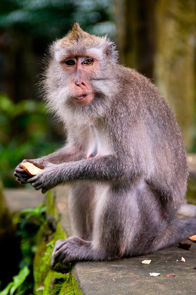 Wanderlust: A Global Odyssey by Matt Prater: The Steamy Tropical ...