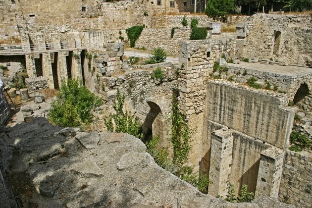 Disciple's Diary: The Pool and the Church