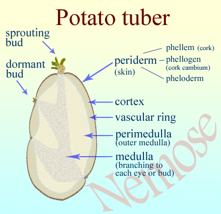 We Love the Prairie Primer: May 2010