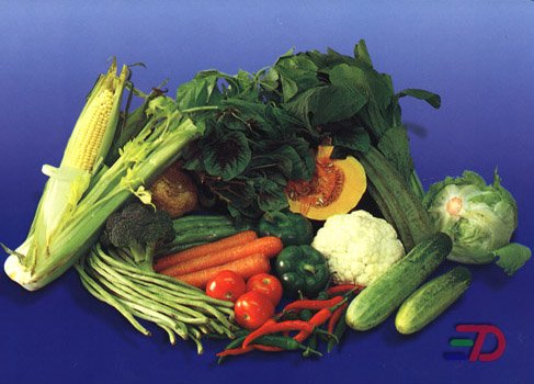 KEMAHIRAN HIDUP: Jenis Sayuran