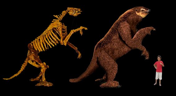 Museu Geológico da Bahia: "Eremotherium", nossa Preguiça Gigante.