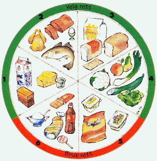 proteinbloggerne: Hva er et sunt kosthold?