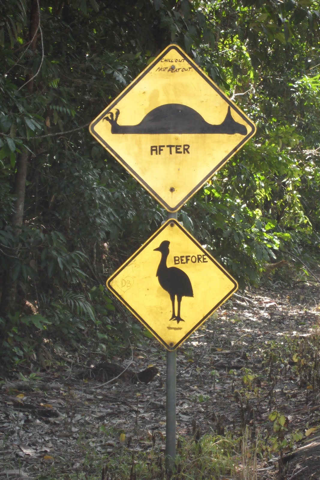 les wallabies de l'ainan: Road Signs Queensland