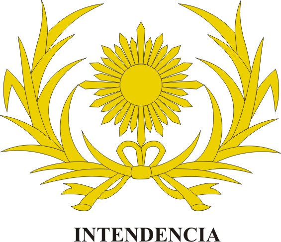 Llibertat, Igualtat, Pluralitat: Ocupació, beques, ajudes i subvencions ...