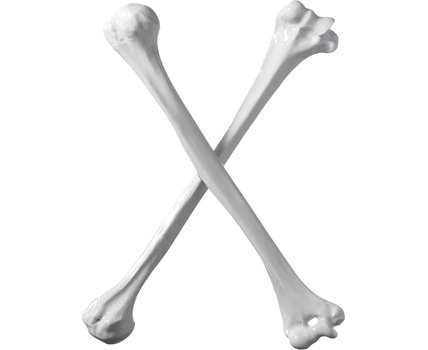 babyanything: Skull and X Bones