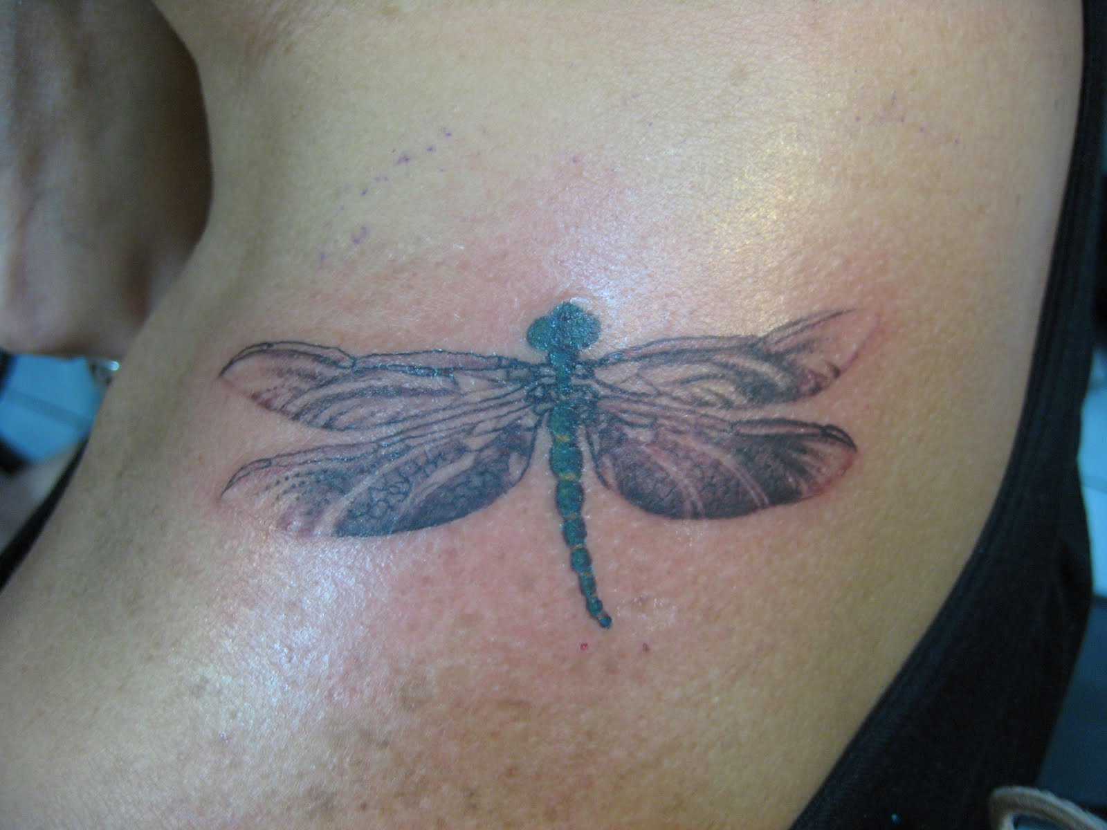 SIN CITY TATTOOS: TAGALOG: Tutubi