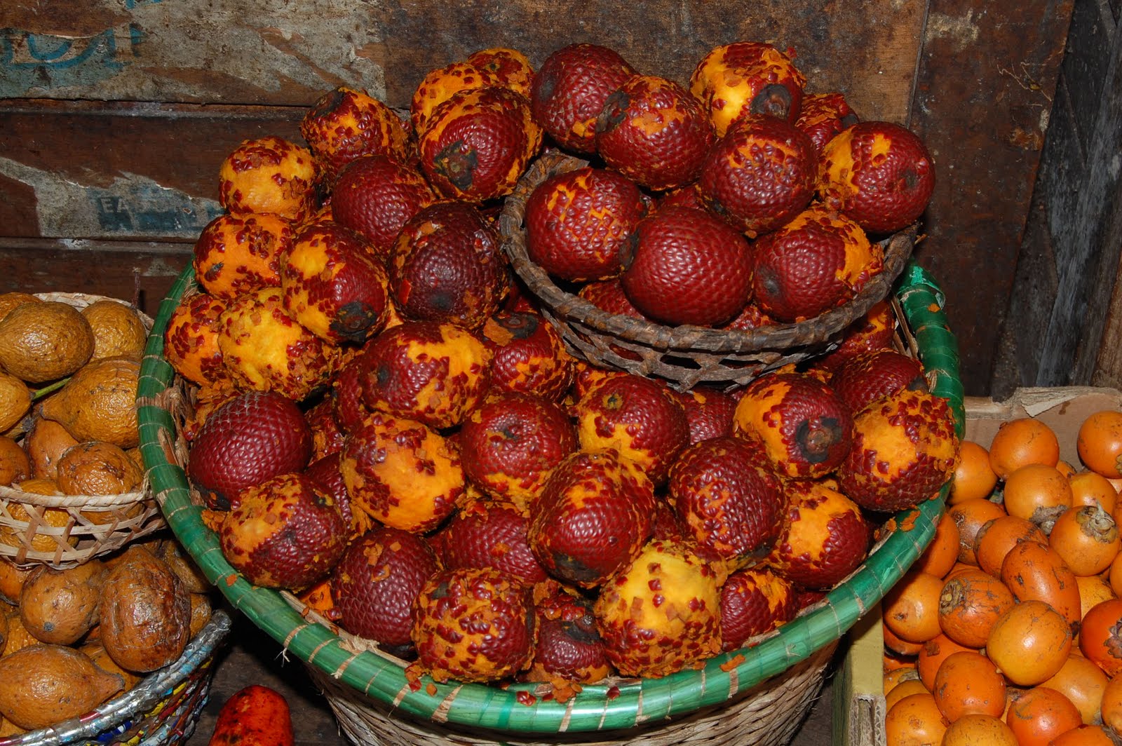 Seeds of Rare Tropical Plants: Mauritia flexuosa (buriti)