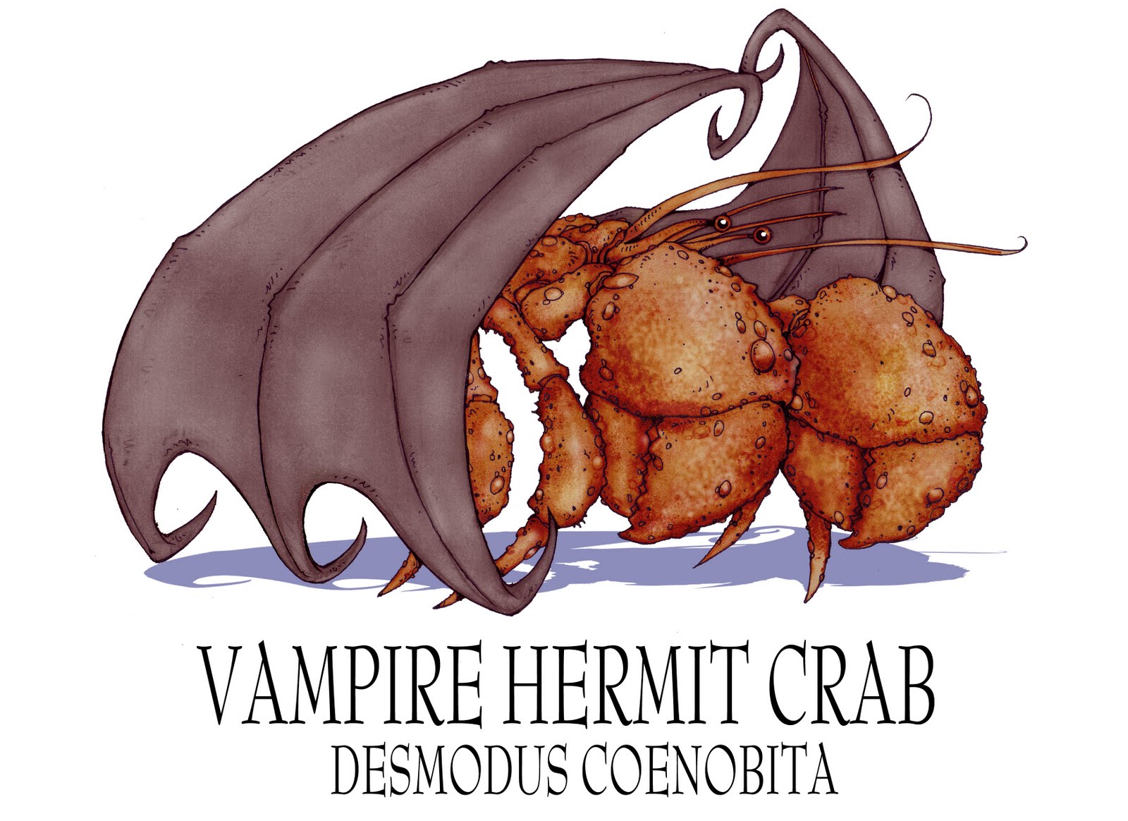 Nukenin Illustrations