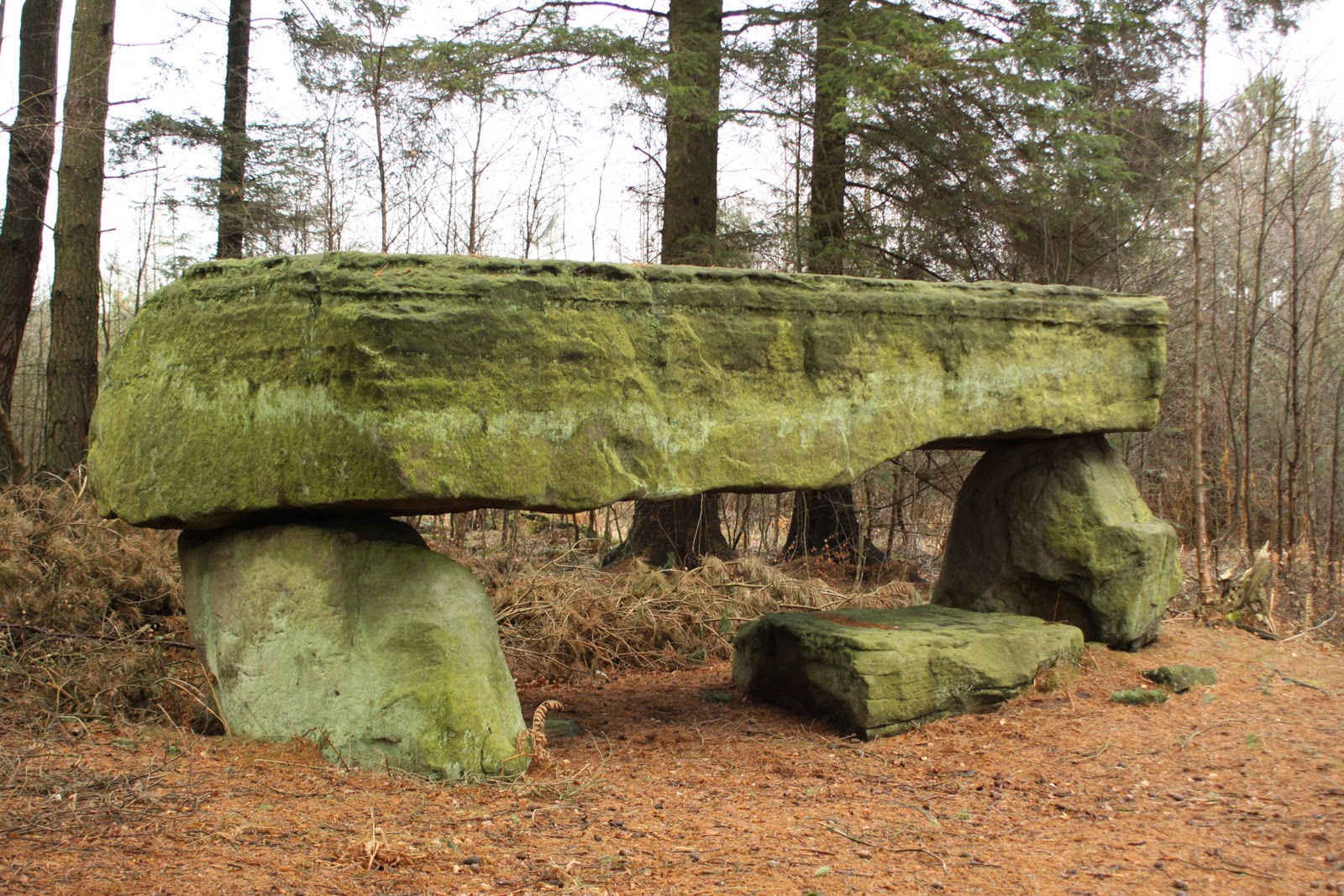 Peach and Thistle: The Druids' Temple, or William Danby's Folly