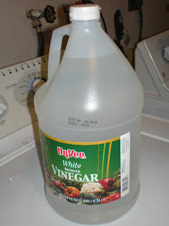 Regular Uses for White Vinegar – Everything Is Homemade
