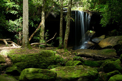 Stylus: Oakland Falls - Hazelbrook, Australia