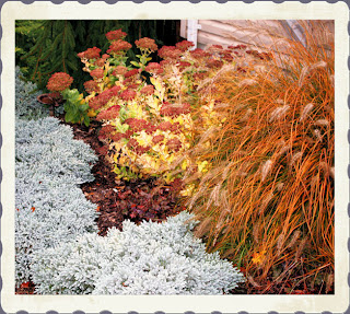 A GUIDE TO NORTHEASTERN GARDENING: Fall Garden Photos: The Fall Garden ...