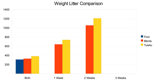 Infindigo Finnish Lapphunds: March 2010