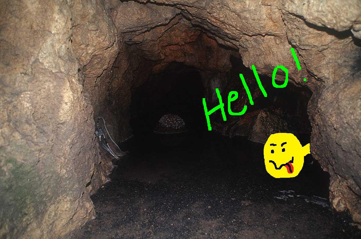 The Ranter's Box: January 2011