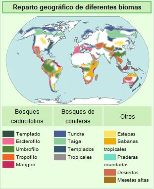 mundo animal: mundo animal