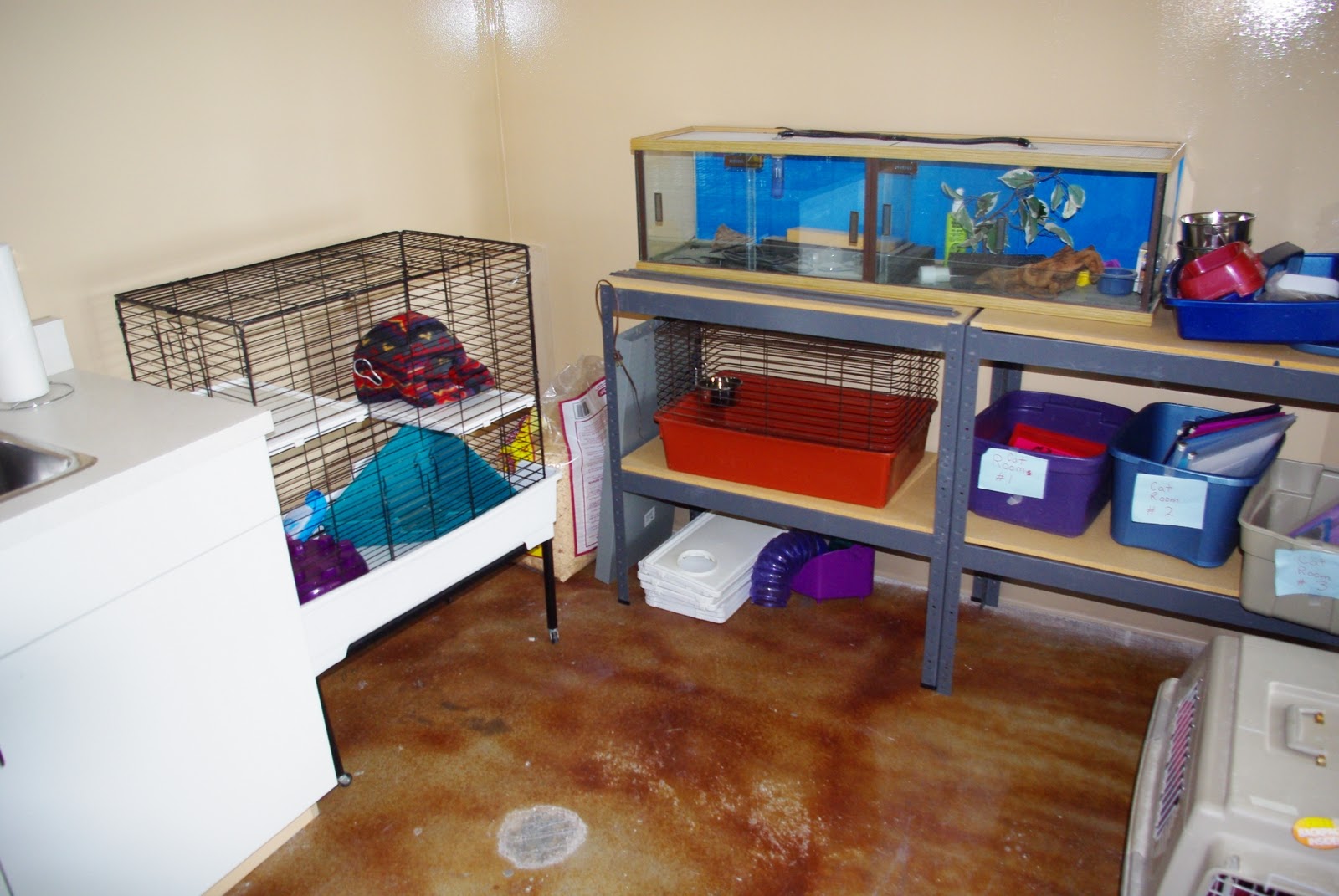 Animal Room - Alchetron, The Free Social Encyclopedia