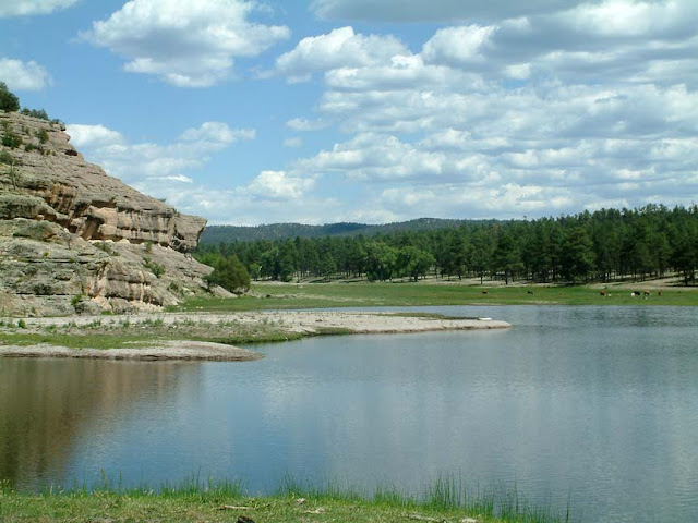 Damn Near Perfect Couple: June 2007