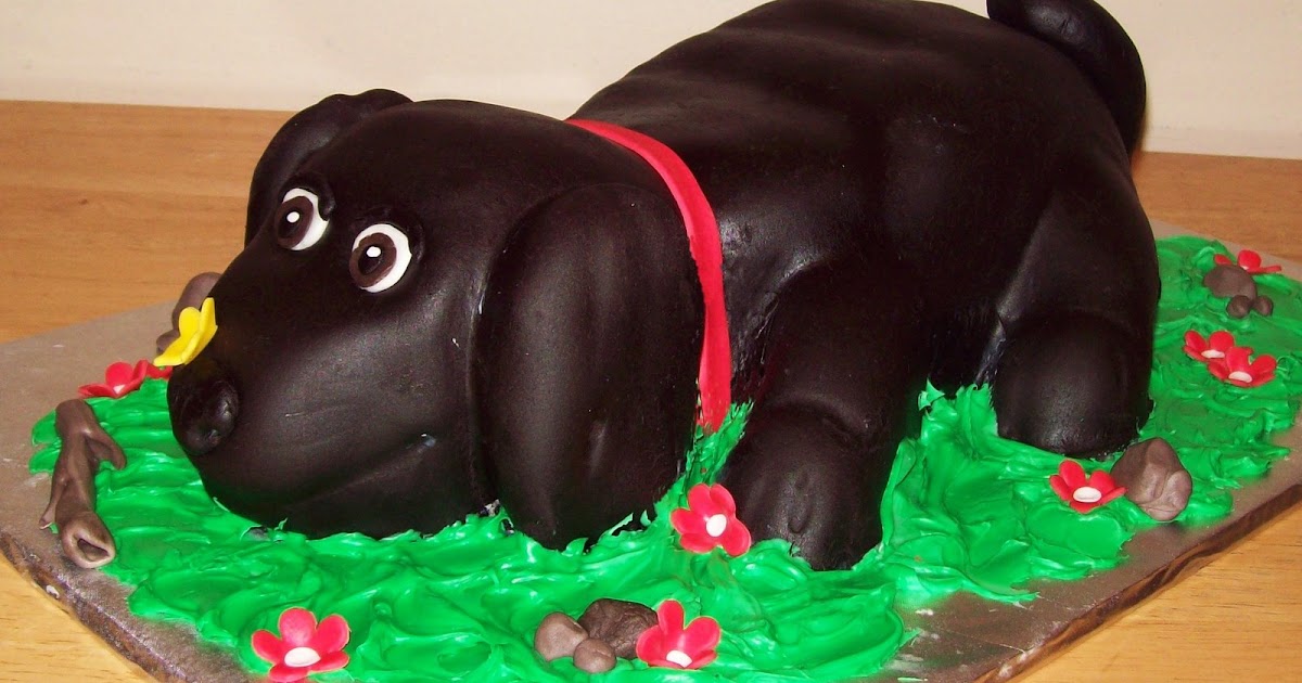 Baked Lab Cakes at Dan Showers blog