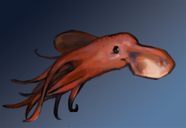 Drawnomi: Dumbo Squid