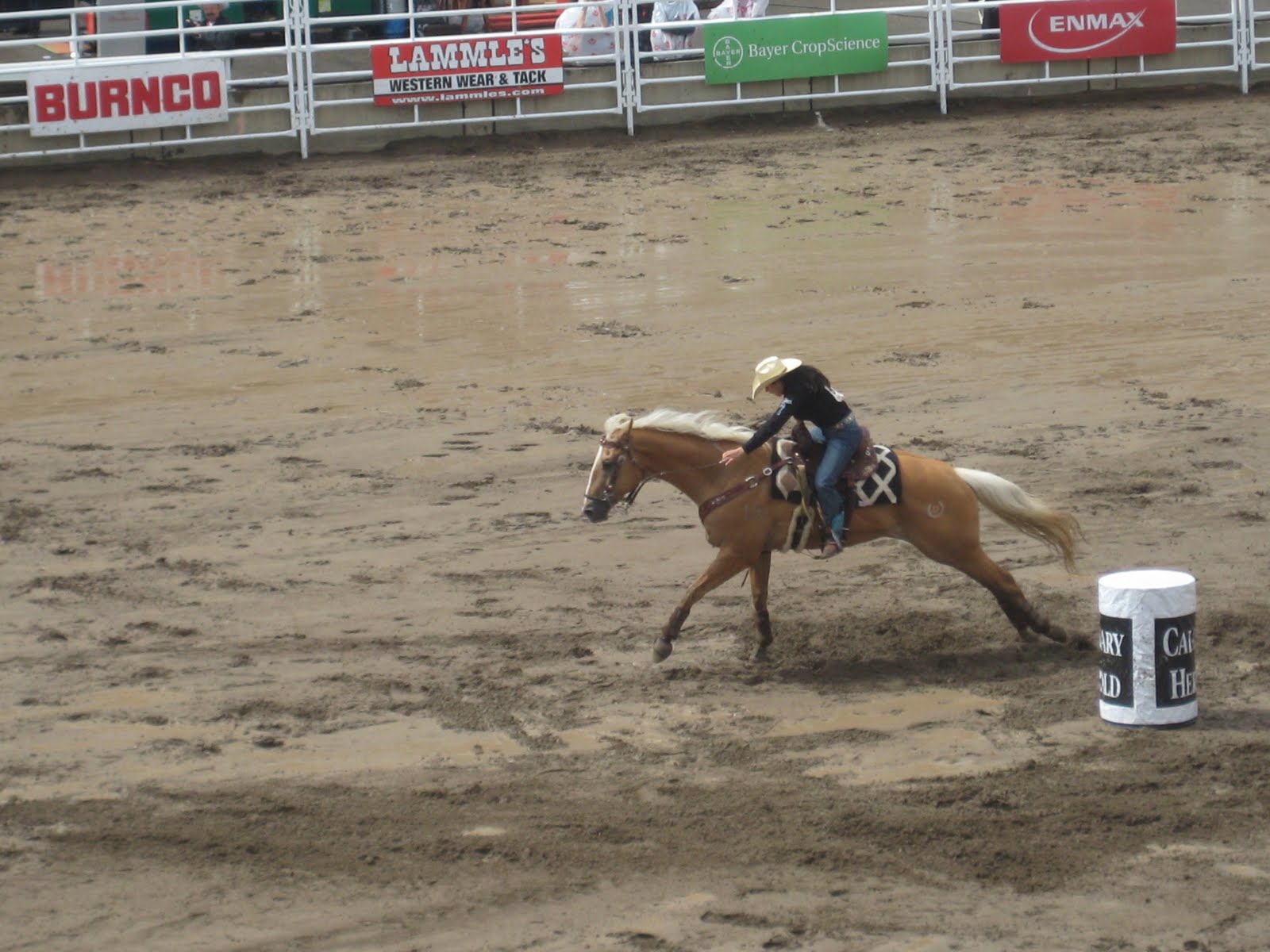 Anna's Next Adventure: Yee Hah!