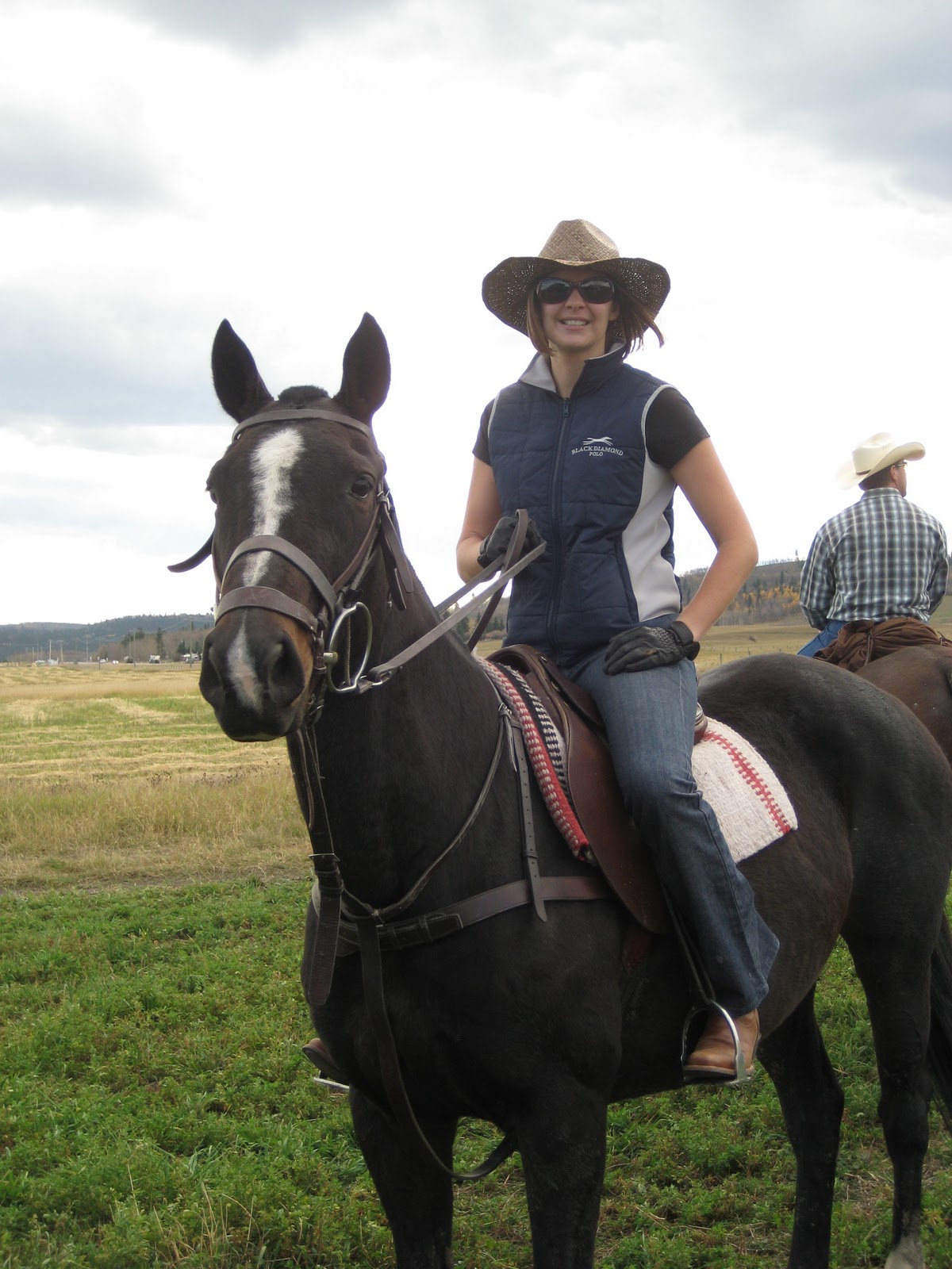Anna's Next Adventure: The Calgary Stampede Cattle Drive ...
