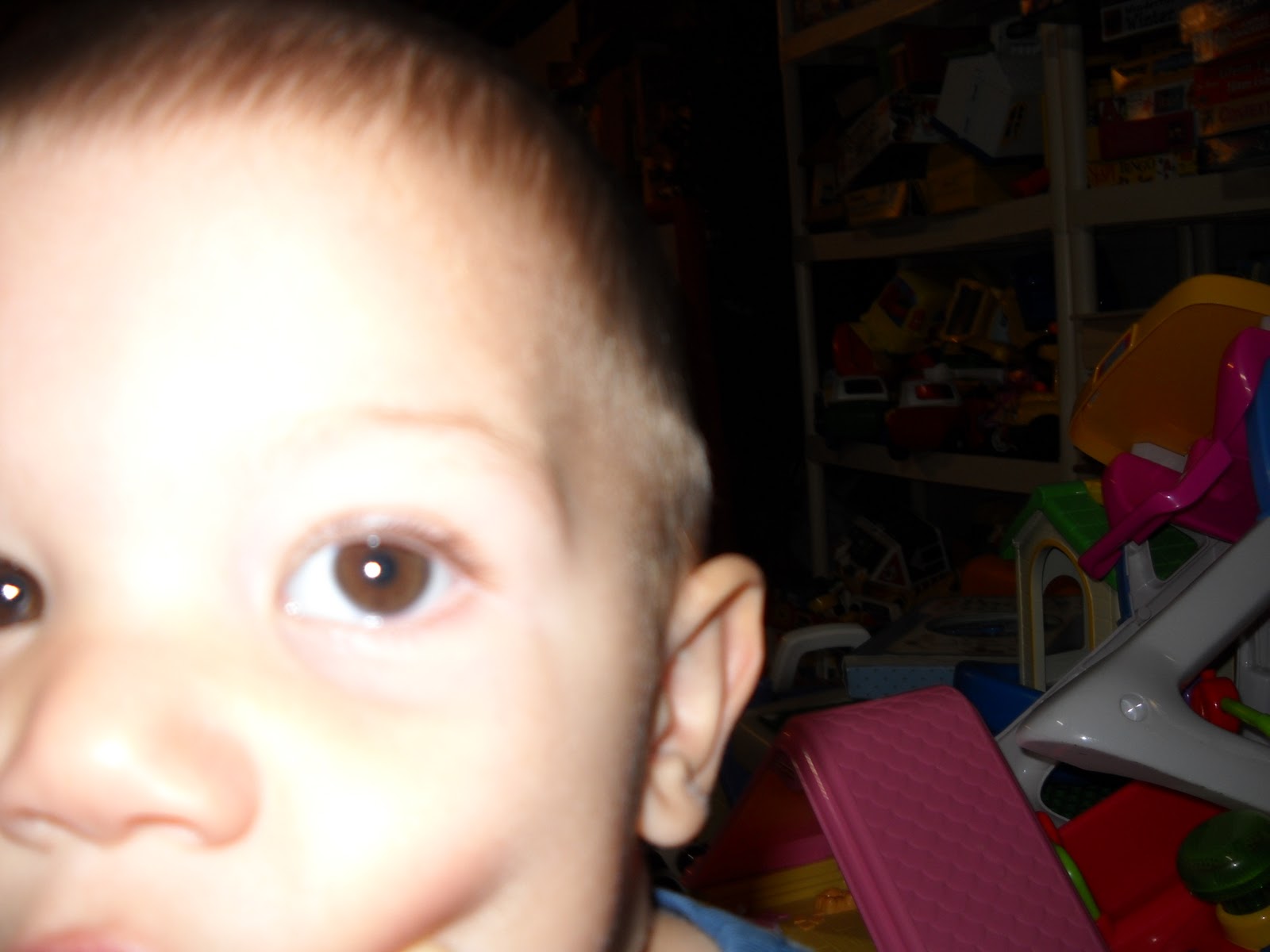 Eby Jeebies: Lumpy Head Picture Gallery