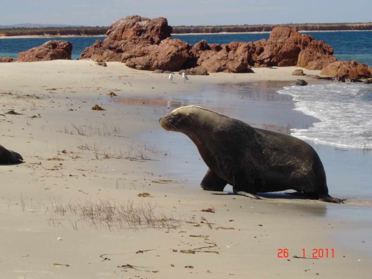 The man, the van and me!: Fitzgerald Bay to Port, then Point Gibbon ...