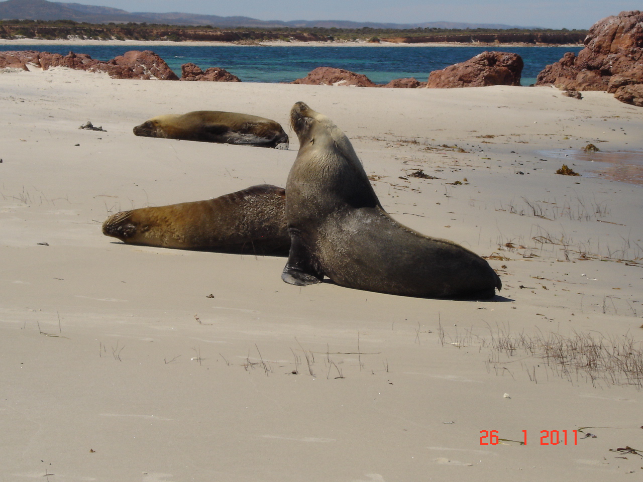 The man, the van and me!: Fitzgerald Bay to Port, then Point Gibbon ...