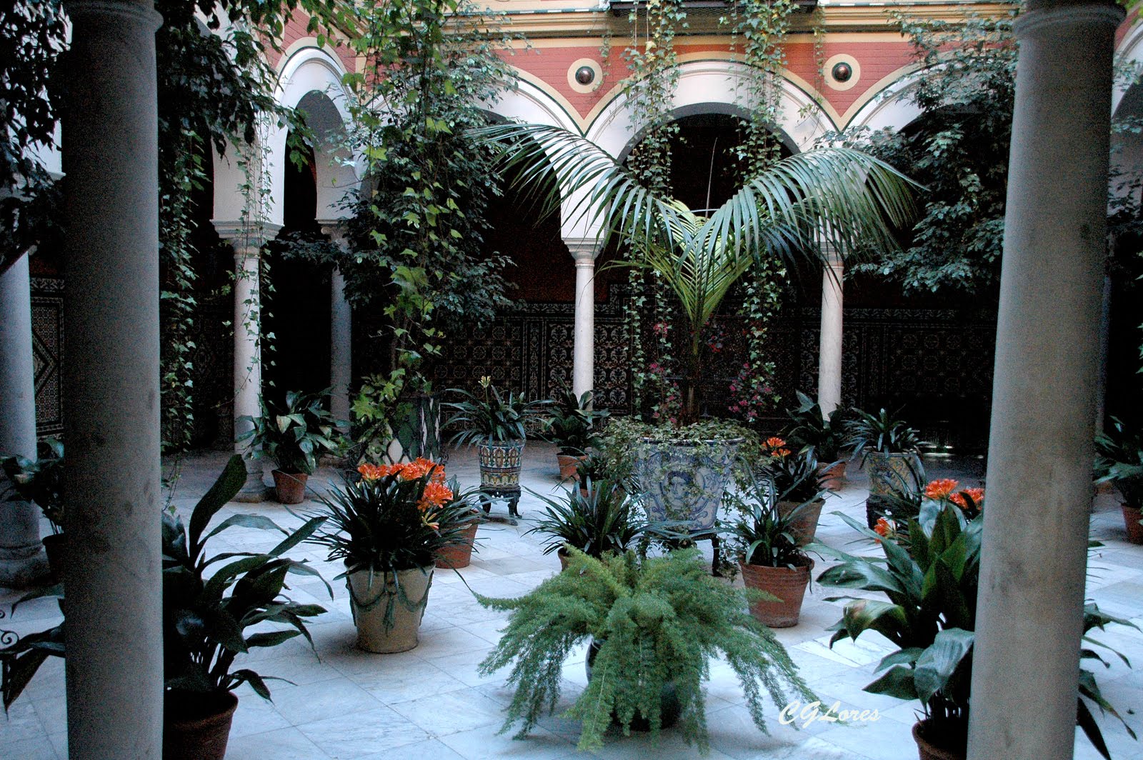 ¡Instantes!: Patio andaluz-II