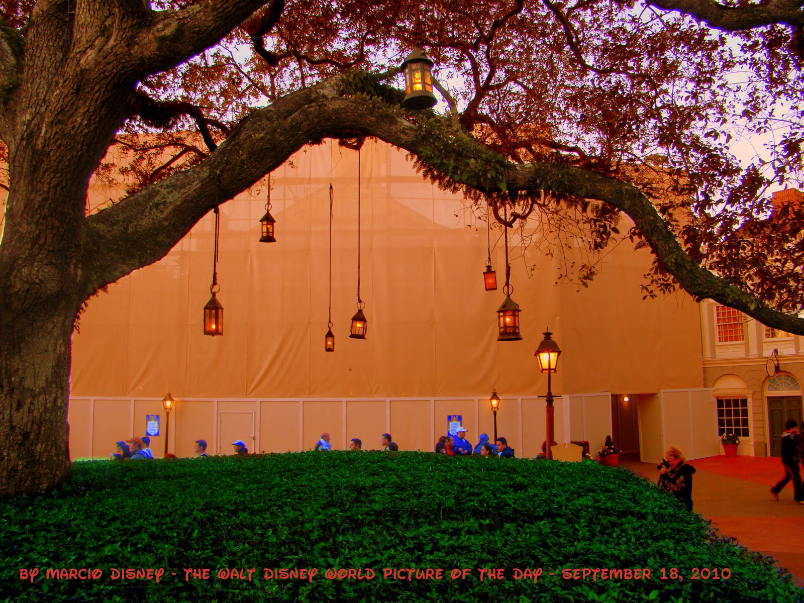 The Walt Disney World Picture of the Day: Lamps at the Liberty Tree