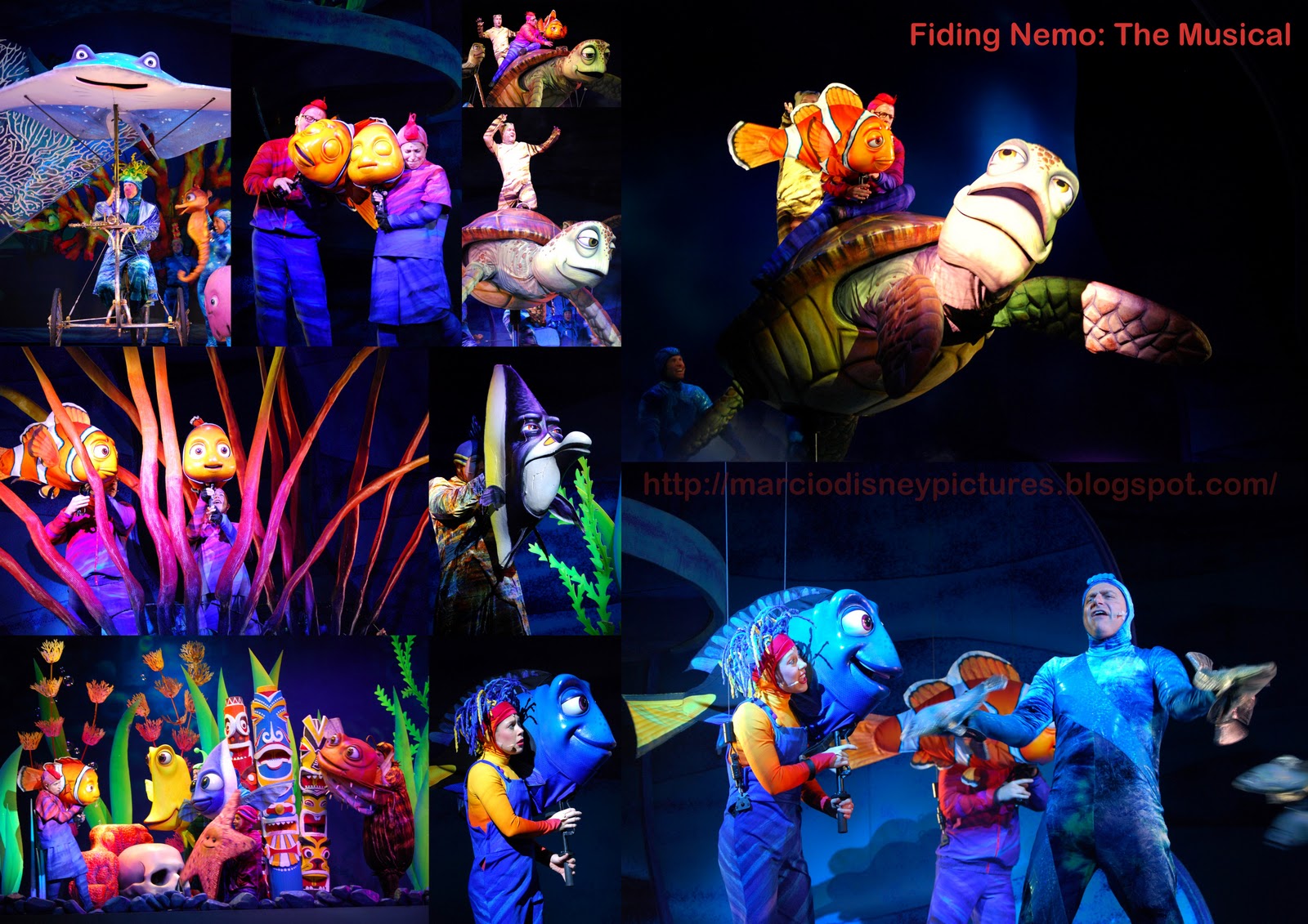 The Walt Disney World Picture of the Day: "It's All About" Series ...