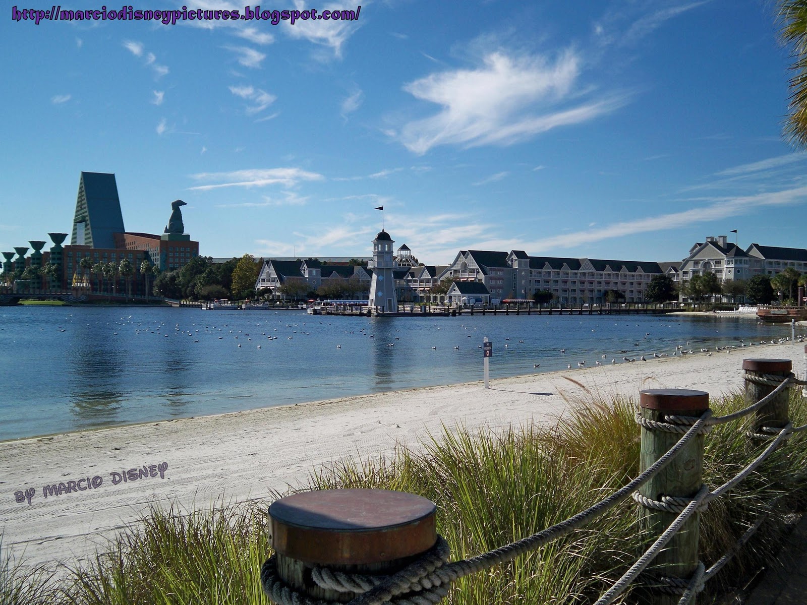 The Walt Disney World Picture of the Day: Swan & Beach Club from ...