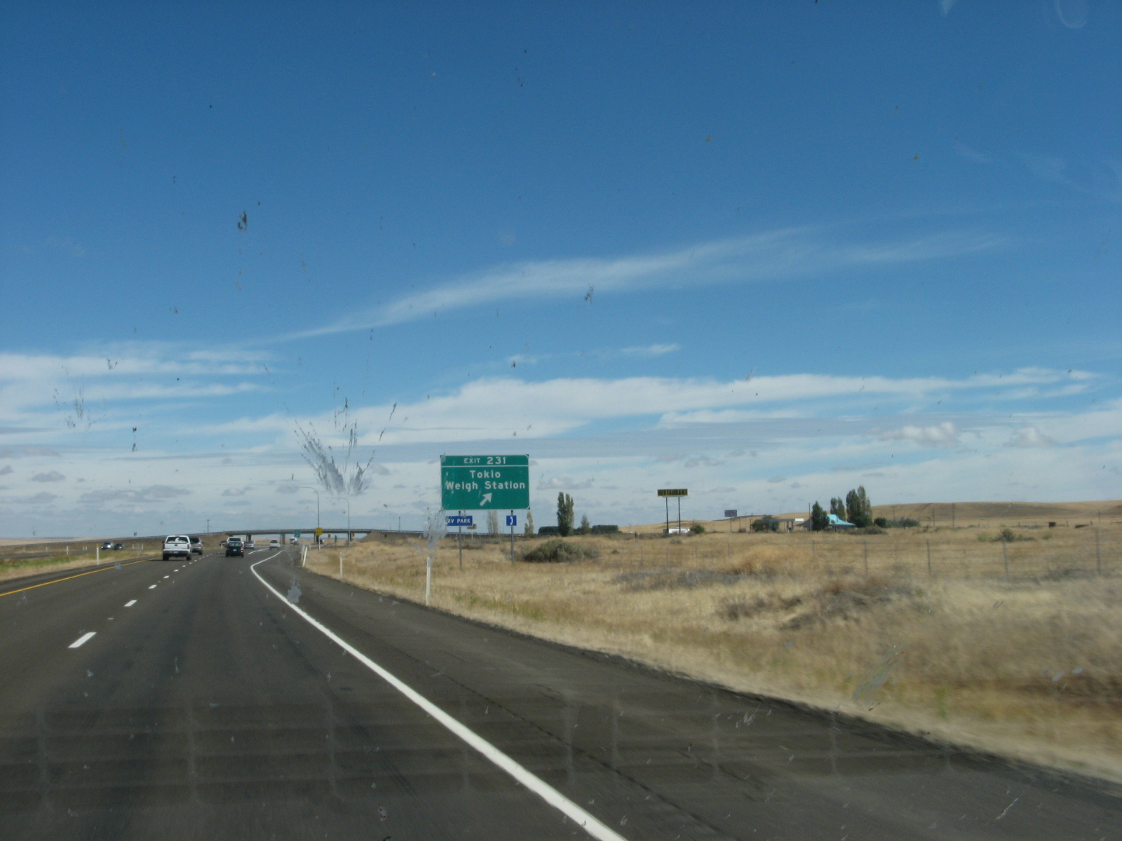 The Long Strange Trip